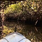 Noosa Heads: Hidden Waterways & Wildlife Kayak Tour - Why Choose This Tour?