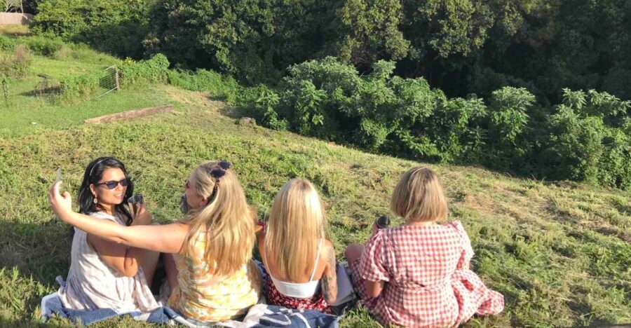 Noosa: Maleny & Montville Tour with Lunch & Wine Tasting - Analyzing the Value & Experience