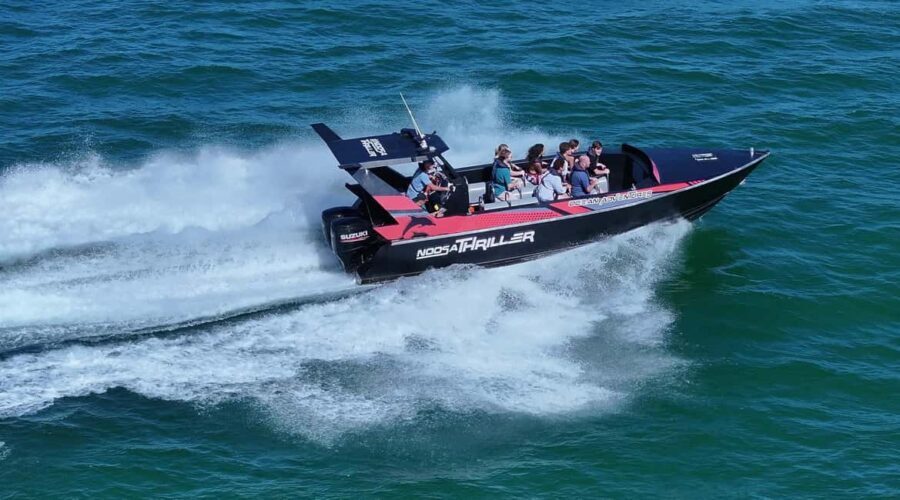 Noosa; Noosa Thriller Whale Watching - In The Sum Up