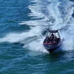 Noosa: Ocean Adventure & Dolphin Safari - Why This Tour Works for Travelers