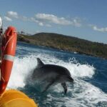 Noosa ocean adventure & Dolphin safari. - Reviews and Real Experiences