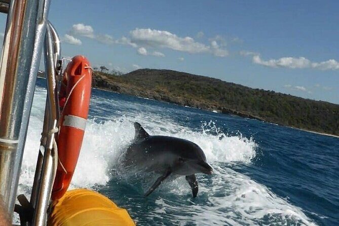 Noosa ocean adventure & Dolphin safari. - Reviews and Real Experiences
