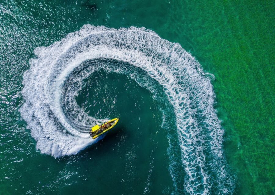 Noosa Ocean adventure & Dolphin Safari. - What to Expect on the Tour