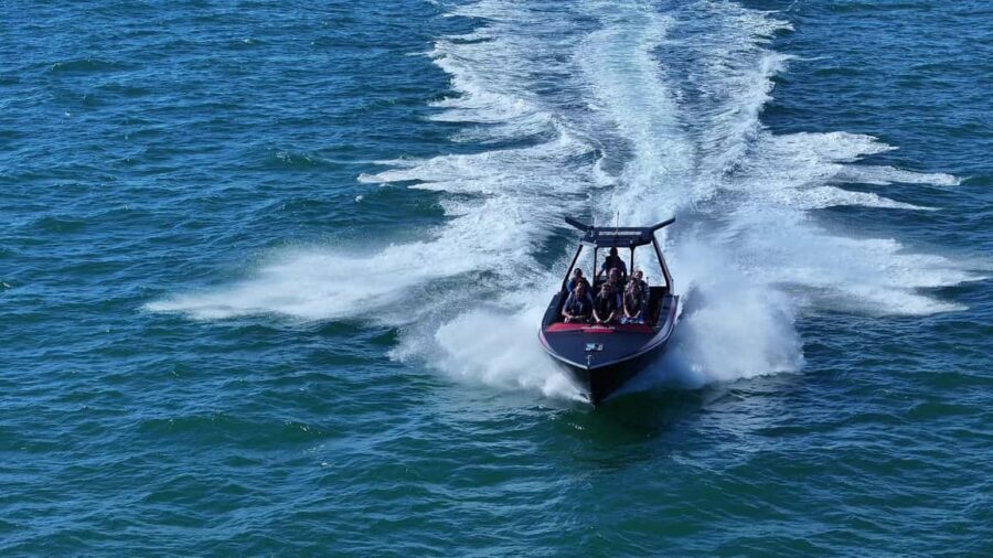 Noosa: Ocean Adventure & Dolphin Safari - Why This Tour Works for Travelers
