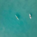 Noosa River: Mangroves and Mansions Guided Kayak Tour - Who Should Consider This Tour?