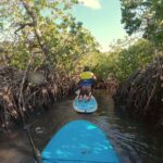 Noosa Stand Up Paddle & Mangrove Tunnel Tour - What the Reviews Say