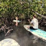 Noosa Stand Up Paddle & Mangrove Tunnel Tour (Fully Guided) - Is It Worth the Price?