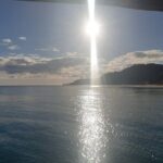 Noosa Surfing and Snorkel Boat Charters to Sunshine Coast in QLD - Diving Into the Experience: What You Can Expect