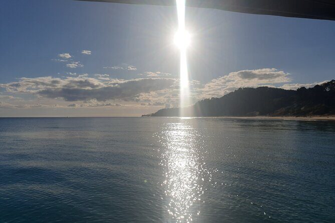 Noosa Surfing and Snorkel Boat Charters to Sunshine Coast in QLD - Diving Into the Experience: What You Can Expect