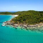 Noosa Whale Watching Tours - Practical Details and Tips