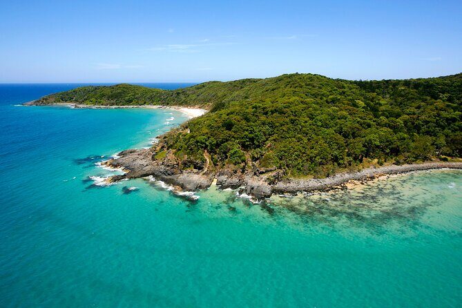 Noosa Whale Watching Tours - Practical Details and Tips
