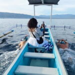North Bali: Dolphin Watching & Swimming with Dolphins - The Value of the Experience