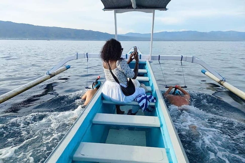 North Bali: Dolphin Watching & Swimming with Dolphins - The Value of the Experience