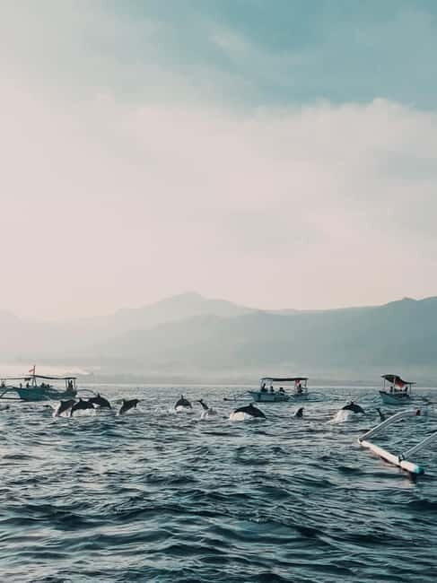 North Bali: Dolphins, Munduk Waterfall, and Twin Lakes Tour - The Practical Side: Cost, Duration, and Tips