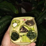 North Bali: Holy Water Purification Ritual with Temple Visit - The Ritual Experience: What It’s Like