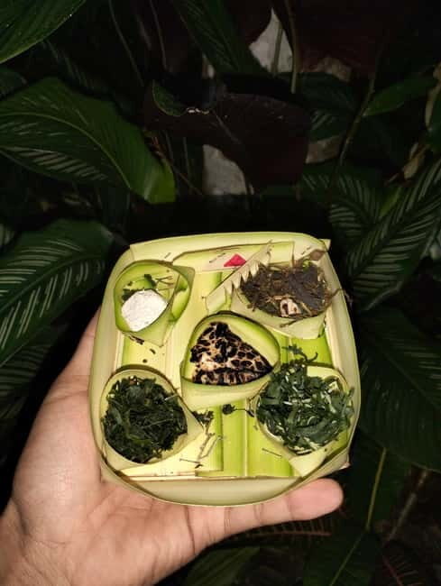 North Bali: Holy Water Purification Ritual with Temple Visit - The Ritual Experience: What It’s Like
