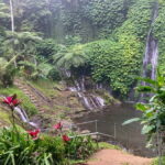 North Bali-Waterfall, Temple Tour - Who Should Take This Tour?