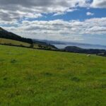 North Otago 7 Hours Scenic & Wildlife Tour - Transportation & Group Size