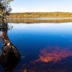 North Stradbroke Island Private Tour with Pickup - Final Thoughts: Who Should Consider This Tour?