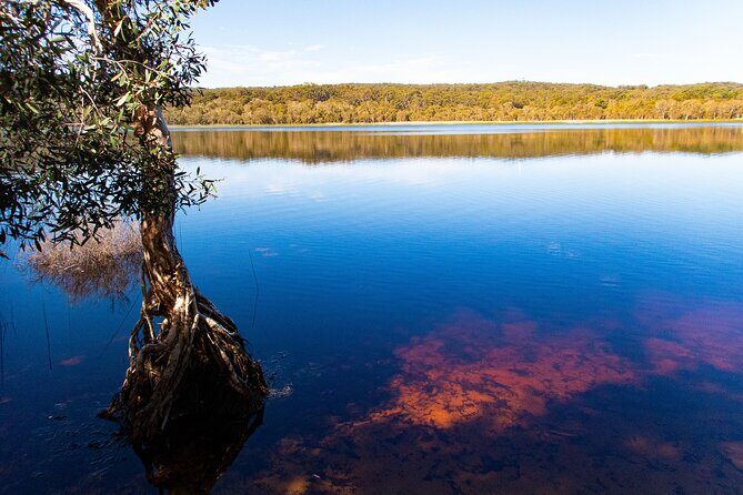 North Stradbroke Island Private Tour with Pickup - Final Thoughts: Who Should Consider This Tour?