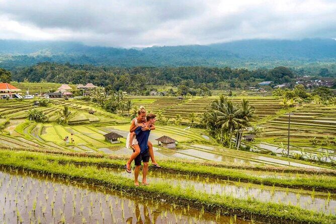 Northern Bali Tour - Private Full Day Tour - All Inclusive - Practical Details and How to Make the Most of It