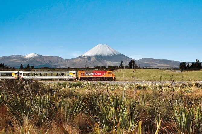 Northern Explorer Train Journey from Wellington to Auckland - Authentic Experiences & Insights from Travelers