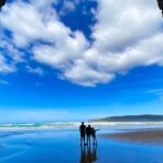 Nugget Point and Cathedral Caves Private Tour from Dunedin - Why This Tour Offers Good Value