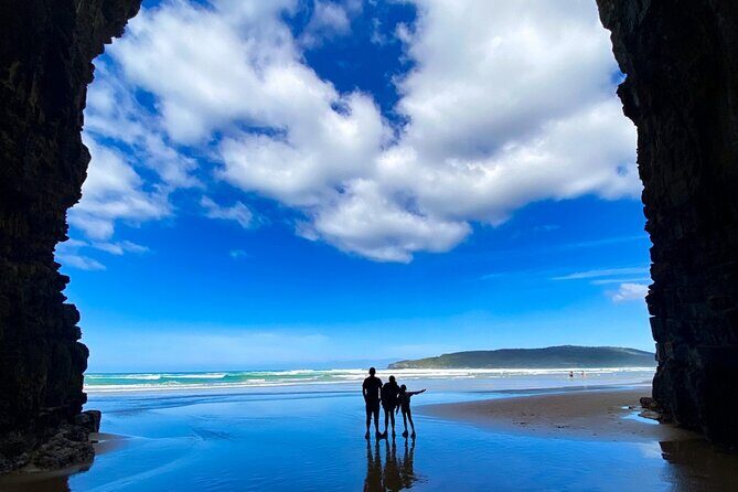 Nugget Point and Cathedral Caves Private Tour from Dunedin - Why This Tour Offers Good Value