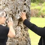 Nuku'alofa Shore Excursion: PRIVATE VIP fully flexible mainland tour - Frequently Asked Questions