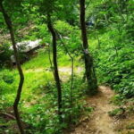 Nuratau Mountain Villages Tour on 3 Days from Bukhara. - Who Will Love This Tour?
