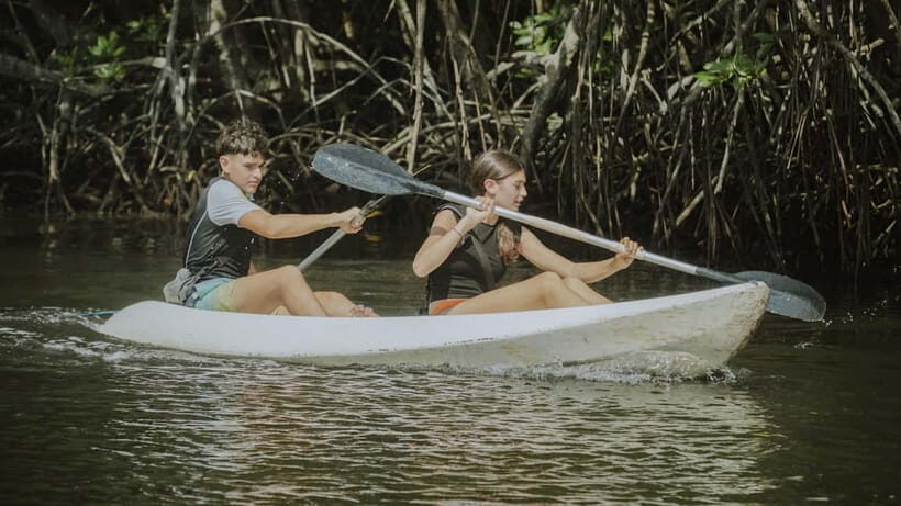Nusa Lembongan: Mangrove Kayak or Paddleboard Adventure - Final Thoughts: Who Should Book This Tour?