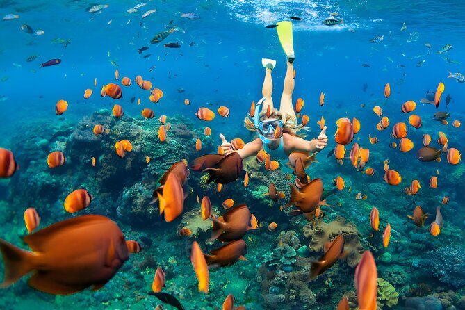 Nusa Penida Snorkeling Tour - Departure From Bali - Exploring the Itinerary in Detail