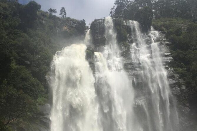 Nuwara Eliya Half Day Private Hiking and Sightseeing Tour - Who Will Love This Tour?