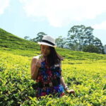 Nuwara Eliya to Kandy: Transfer with Waterfall & Tea Tour - Detailed Breakdown of the Itinerary