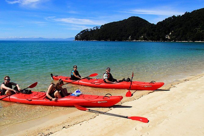 Oarsome Marine Reserve Kayak Tour - The Itinerary: What to Expect