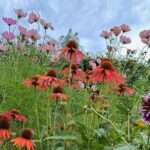 Oasis Cottage Gardens and Floristry Studio in Oxford, NZ - Exploring the Floral Studio and Greenhouse