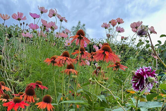 Oasis Cottage Gardens and Floristry Studio in Oxford, NZ - Exploring the Floral Studio and Greenhouse