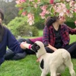 Oberon: Kenzell Farm Tour  A Hands-On Animal Adventure! - The Real Value: Why This Tour Matters