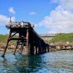 Ocean Explorer Tour from Lake Macquarie - Final Thoughts: The Value of the Ocean Explorer Tour