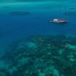 Ocean Free 25 guest Great Barrier Reef & visit Green Island Tour - Analyzing the Value