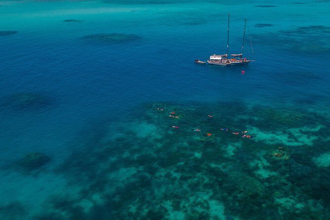 Ocean Free 25 guest Great Barrier Reef & visit Green Island Tour - Analyzing the Value