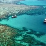Ocean Freedom Great Barrier Reef Luxury Snorkel and Dive Cruise - Overview and itinerary: What makes this reef trip special?