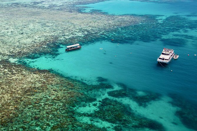 Ocean Freedom Great Barrier Reef Luxury Snorkel and Dive Cruise - Overview and itinerary: What makes this reef trip special?
