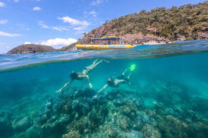 Ocean Rafting: Whitehaven Beach, Snorkelling & Hill Inlet Lookout - The Guides and Crew: Knowledgeable and Friendly