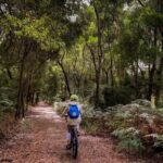 Ocean Road Scenic Bicycle Ride in Port Campbell or Timboon - Who Would Love This Tour?