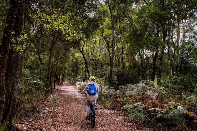 Ocean Road Scenic Bicycle Ride in Port Campbell or Timboon - Who Would Love This Tour?