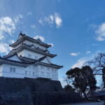 Odawara: Castle Guided Tour with Panoramic Views - The Value of This Tour