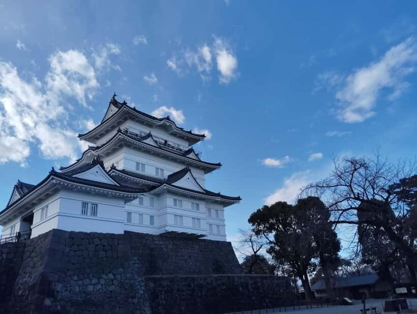 Odawara: Castle Guided Tour with Panoramic Views - The Value of This Tour