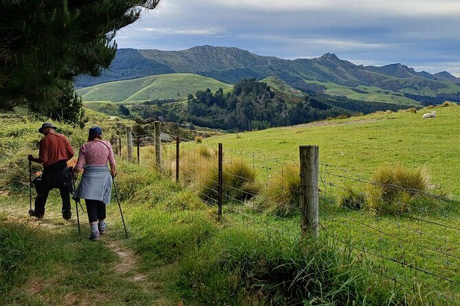 Off The Beaten Track- Packhorse Hut Guided Walk(Small Group Tour) - The Sum Up