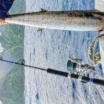 Offshore fishing around the Teahupo'o wave - FAQs